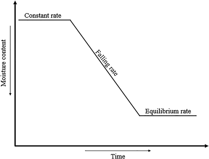 Convective Drying | SpringerLink