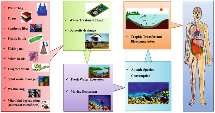 Sources, Characteristics, Environmental Impact, and Sustainable ...