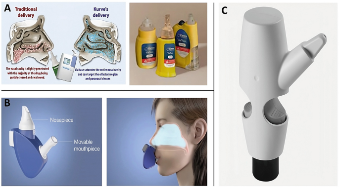 Intranasal Delivery of Drugs to the Central Nervous System | SpringerLink