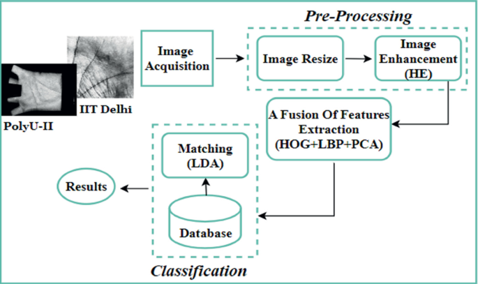 Palm Print Recognition Based on a Fusion of Feature Selection Techniques | SpringerLink