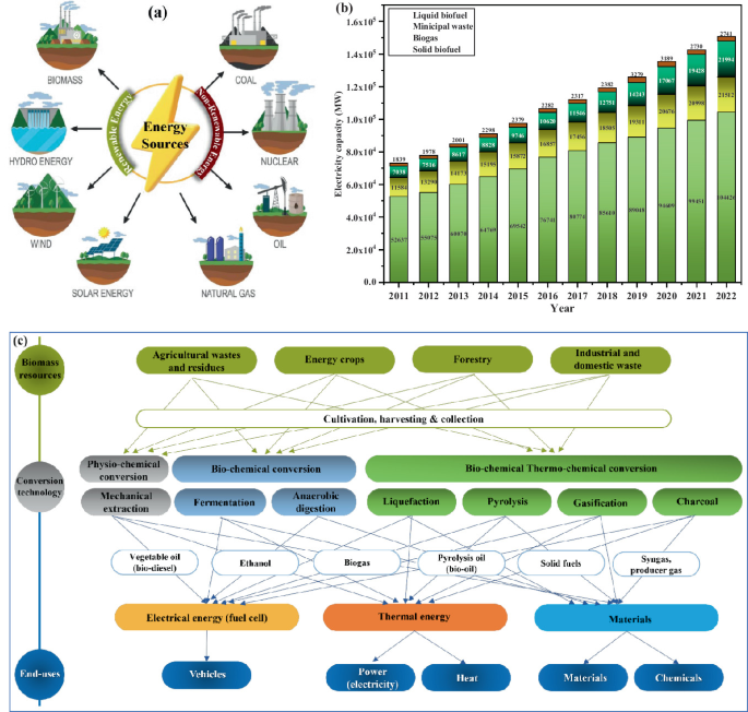 Recent Trends in Biomass Valorization for Energy | SpringerLink