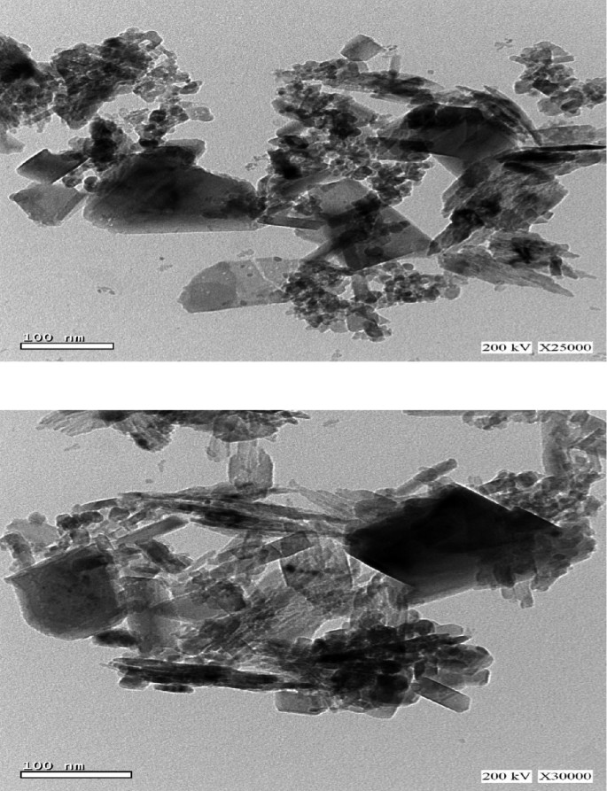 Biosynthesis and Cytotoxicity of Curcumin Loaded on CuO NPs Against ...