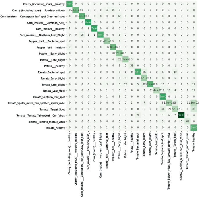 Classification of Multi Plant Leaf Diseases Based on Optimization of the Convolutional Neural ...