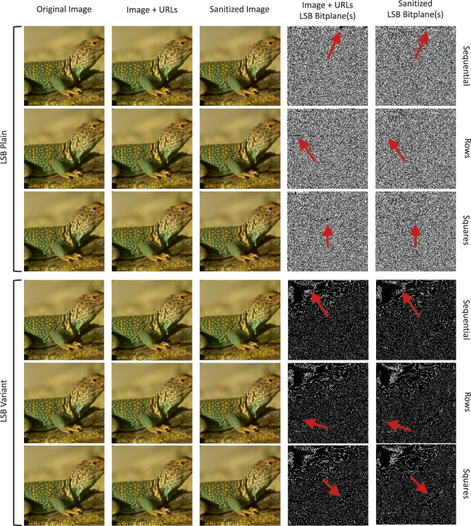 Erasing the Shadow: Sanitization of Images with Malicious Payloads ...