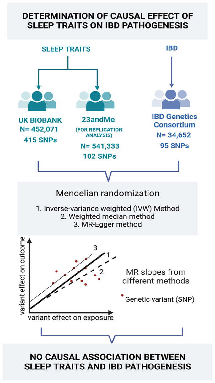 Mendelian Randomization of Sleep and Circadian Traits | SpringerLink