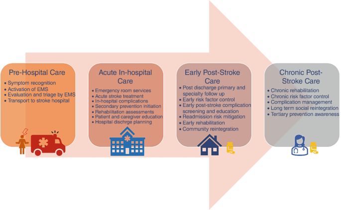 Stroke and Cerebrovascular Disease | SpringerLink