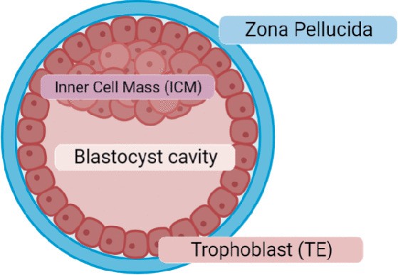 Image Processing and Deep Learning Methods for the Semantic ...