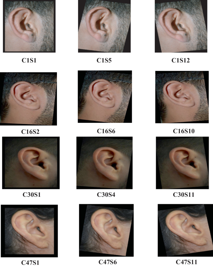 Automatic Identification of Ear Patterns Based on Convolutional Neural ...