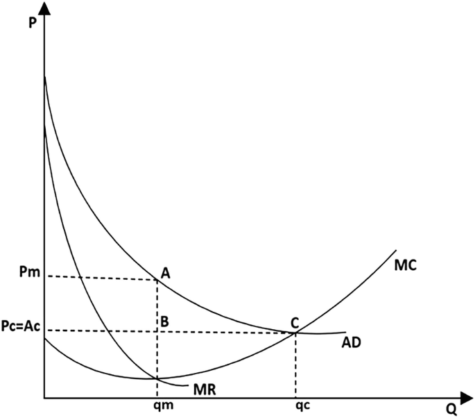 The Economics of Patents: Justifications and Trade-Offs | SpringerLink