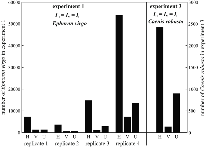 Polarotaxis in Mayflies | Springer Nature Link