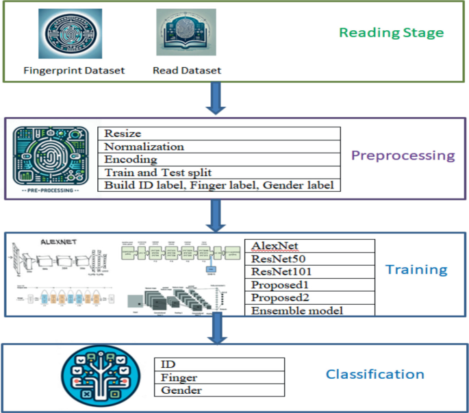 Fingerprint Recognition Revolutionized: Harnessing the Power of Deep Convolutional Neural ...