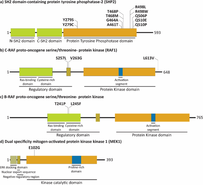 Noonan Syndrome with Multiple Lentigines | SpringerLink