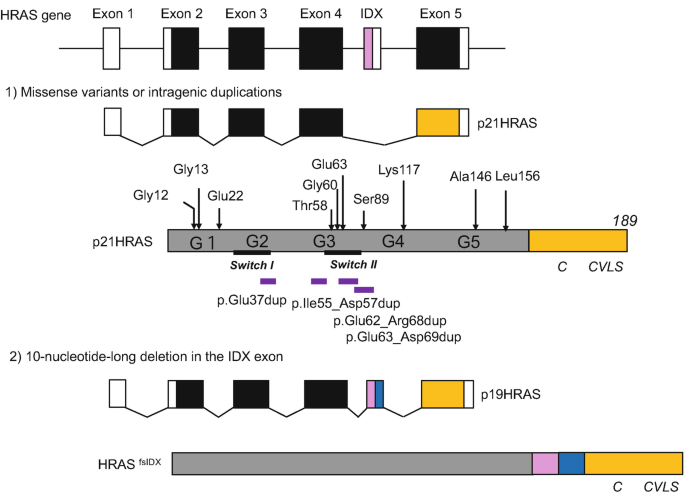 Costello Syndrome | SpringerLink