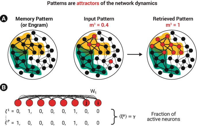 A Computational Framework for Memory Engrams | SpringerLink