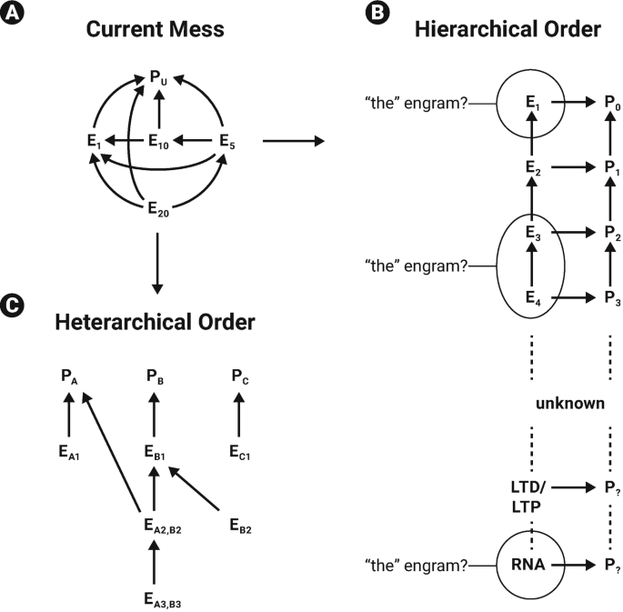 If Engrams Are the Answer, What Is the Question? | SpringerLink