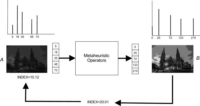 Utilizing the Moth Swarm Algorithm to Improve Image Contrast | SpringerLink