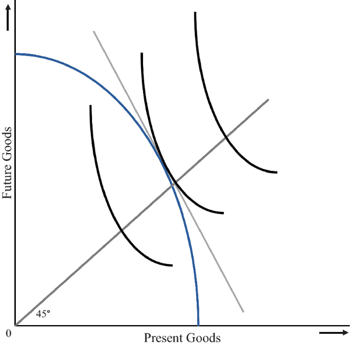 Responses to the Interest Rate | SpringerLink