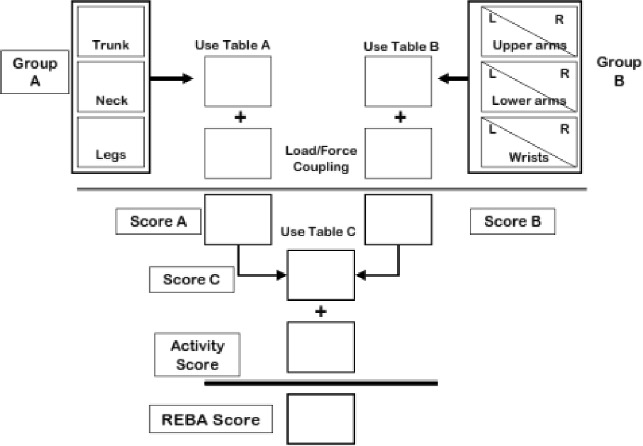 Application of the Reba Method to Assess Ergonomics and Musculoskeletal ...