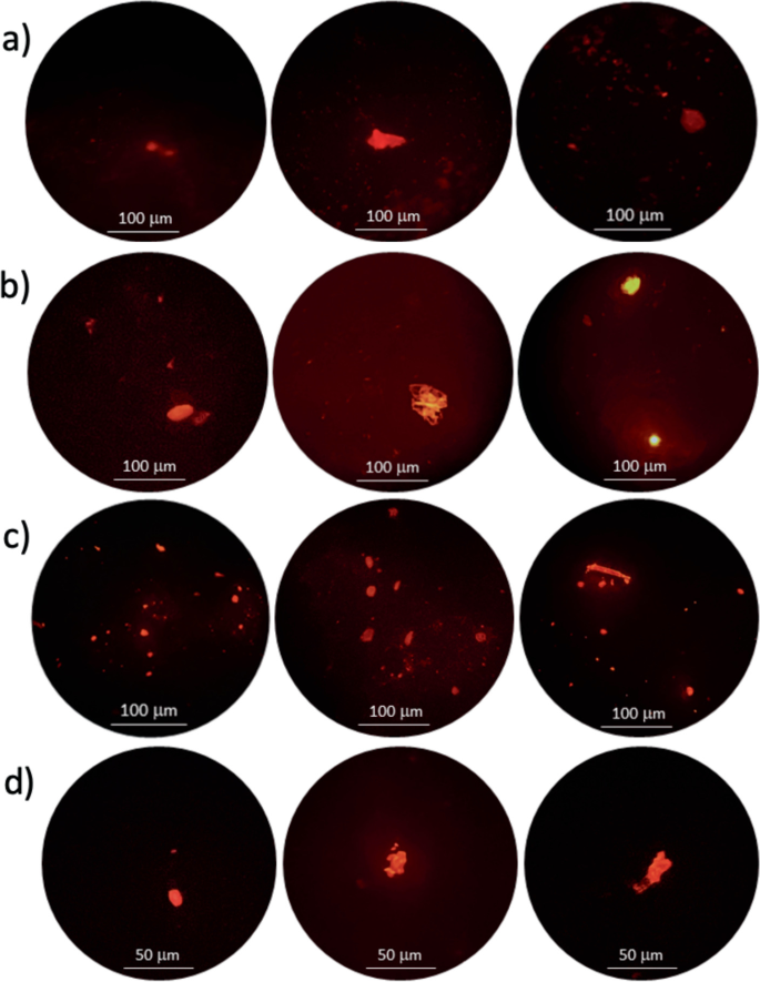 Quantitative Detection of Microplastics in Water Through Real-Time Analysis of Fluorescence ...
