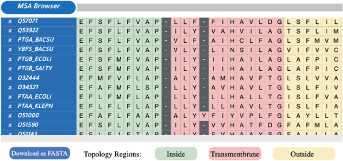TM-MSAligner: A Tool for Multiple Sequence Alignment of Transmembrane Proteins | SpringerLink