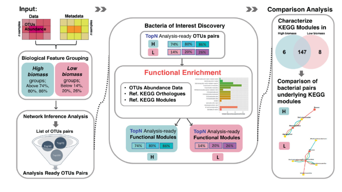 A Robust Network Model for Studying Microbiomes in Precision ...