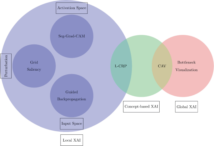 A Guided Tour of Post-hoc XAI Techniques in Image Segmentation ...