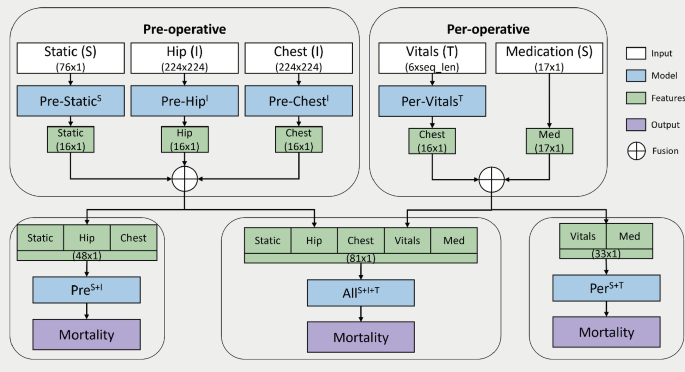 Feature Importance to Explain Multimodal Prediction Models. a Clinical Use Case | SpringerLink