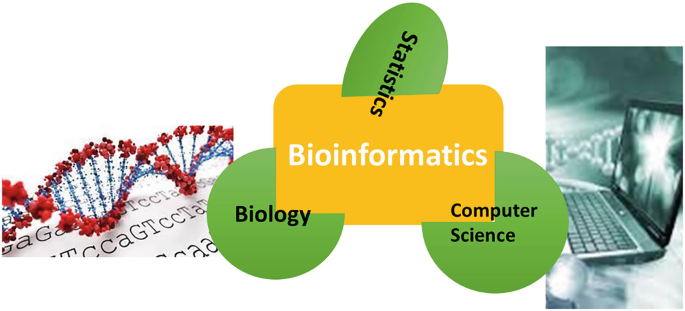 Role of Bioinformatics Tools in Microbial Prospective and Its Future | SpringerLink