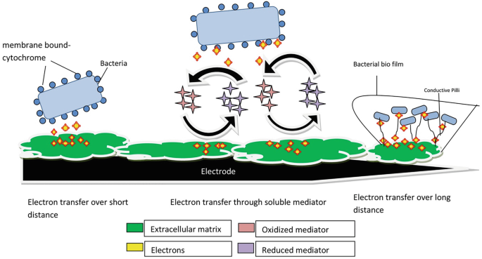 Microbial Nanowires: Future of Bioenergy Applications | SpringerLink