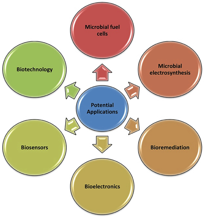 Microbial Nanowires: Future of Bioenergy Applications | SpringerLink