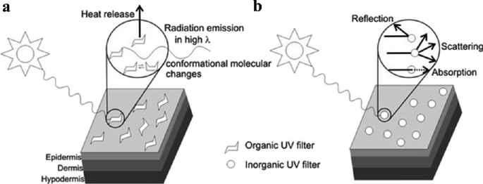 UV Filters in sunscreens for photoprotection | SpringerLink