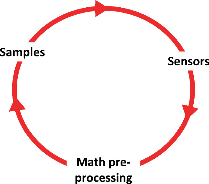 Mathematical Pre-processing | SpringerLink