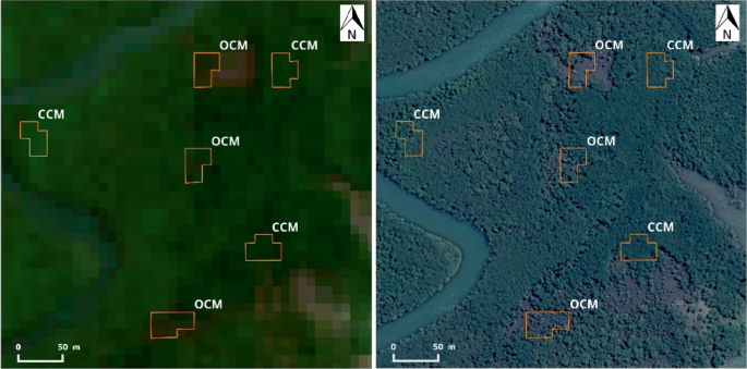 Mangrove Forests Monitoring Using Google Earth Engine Platform in the ...