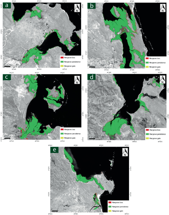 Mangrove Forests Monitoring Using Google Earth Engine Platform in the ...