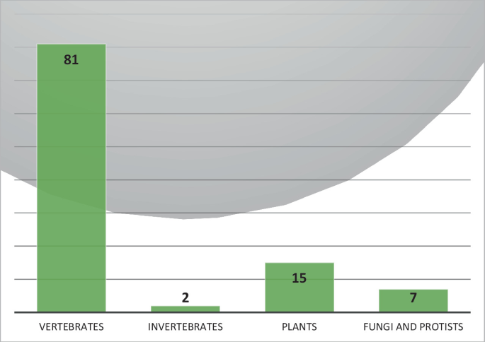Invertebrate Life in the Anthropocene | SpringerLink