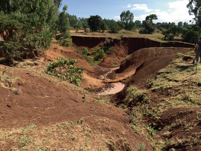 Soil Degradation in the Mediterranean Region: Drivers and Future Trends ...