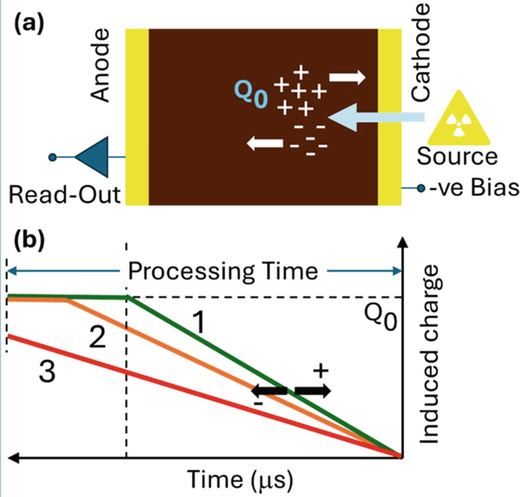 Advancements in CdZnTe Detectors: Overcoming Challenges Through ...