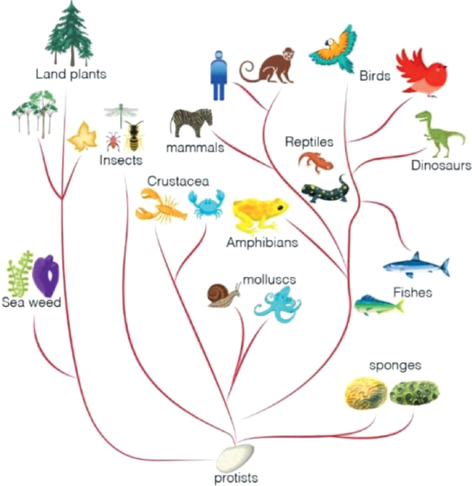 The Evolution of Life on Earth | SpringerLink
