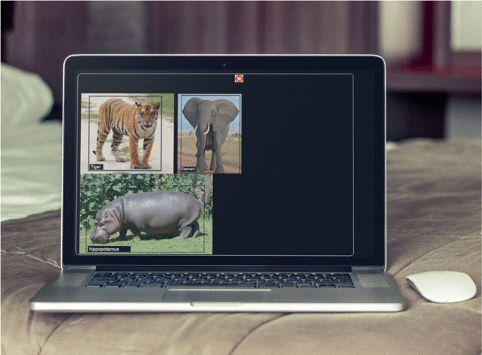 Object Recognition and Tracking for Enhanced Security Using Computer Vision | SpringerLink