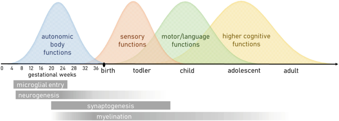 Environmental Exposures and Child Neurodevelopment | SpringerLink