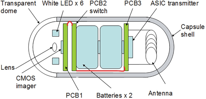 A Short History of the Gastrointestinal Capsule | SpringerLink