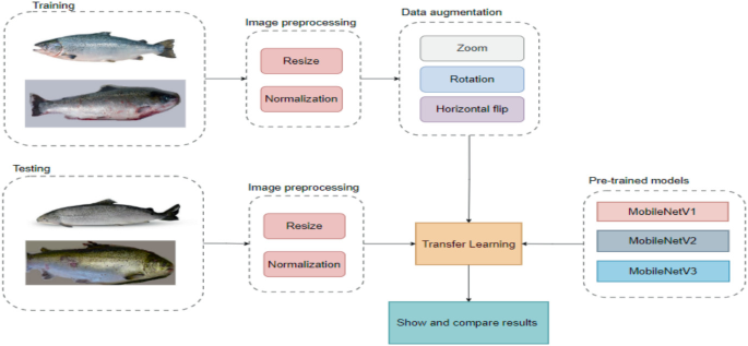 Comparative Analysis of Fine-Tuned MobileNet Versions on Fish Disease ...