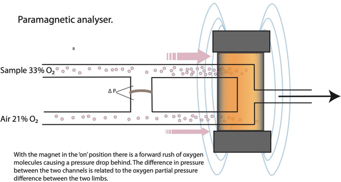 Oxygen Measurement | SpringerLink