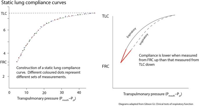 Compliance | Springer Nature Link