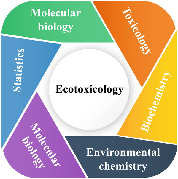 Ecotoxicology and Risk Assessment of Contaminated Water | SpringerLink