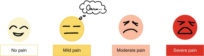 Pharmacology and Pain Management | SpringerLink