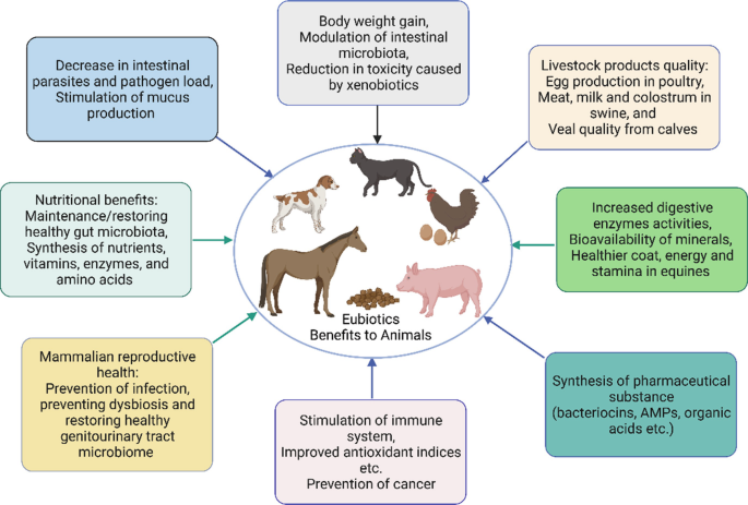 Probiotics for Monogastric Animals | SpringerLink