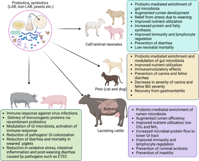 Probiotics Against Veterinary Infectious Diseases | SpringerLink