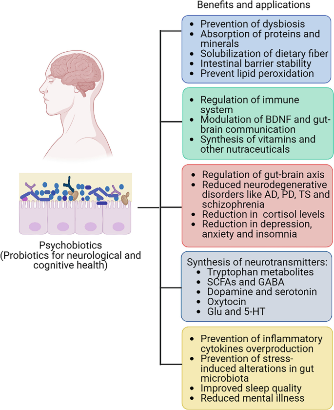 Gut-Brain Axis: Probiotics as Psychobiotics | SpringerLink