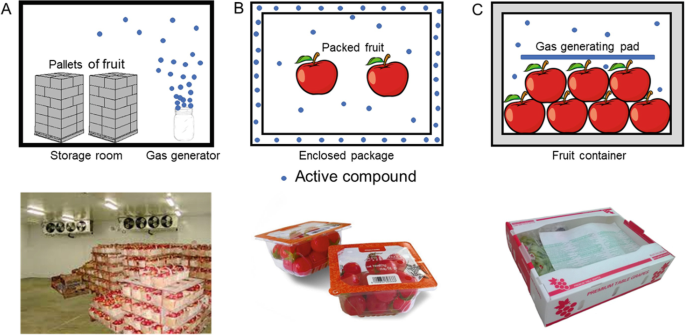 Effect of Controlled-Release Gaseous Antimicrobial Agents on the ...